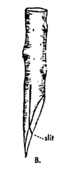 A Lesson On Simple Grafting Procedures