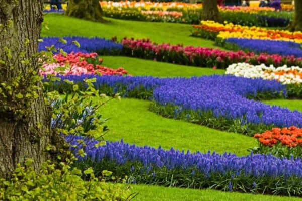 How Many Springs A Year Have You Counted?