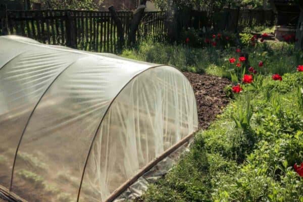What Is A Poor Man's Greenhouse?