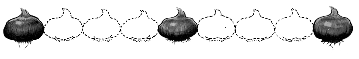 How to Grow Prize Glads