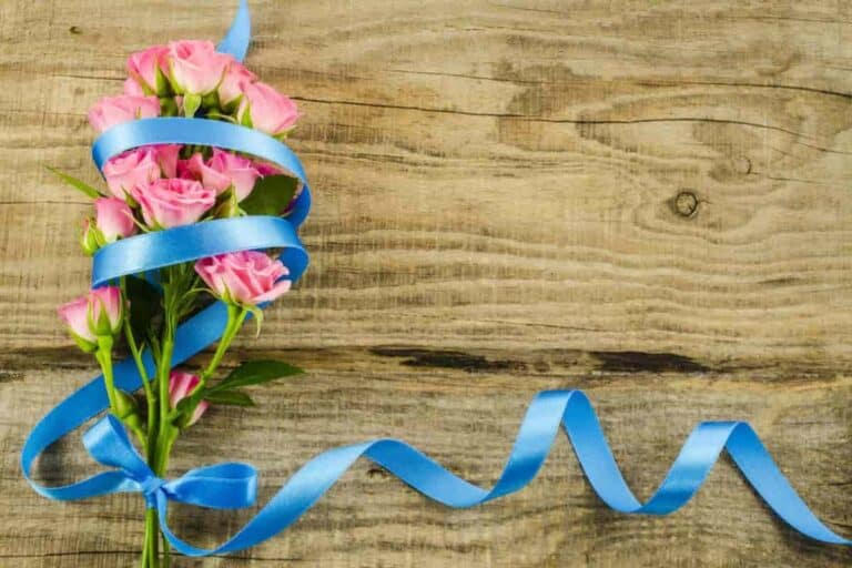Blue Ribbon Beauty: How to Grow Stunning Roses for Rose Shows