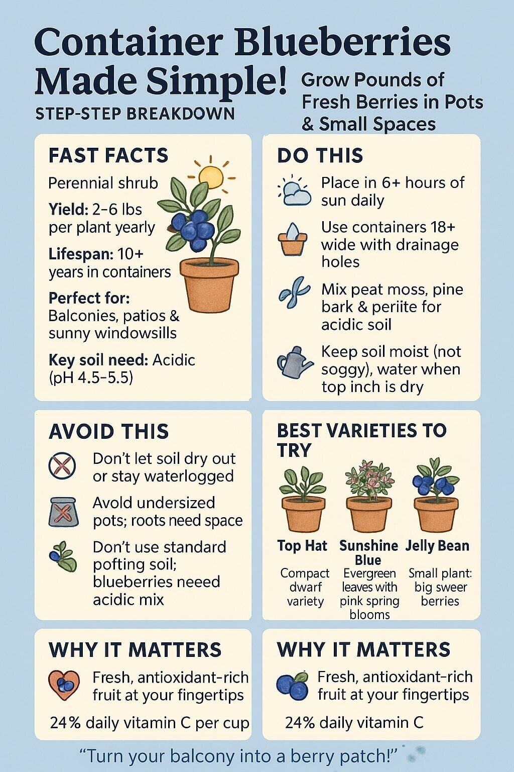 Tiny Space, MASSIVE Blueberry Harvest: 7 Secrets to Endless Berries in Pots
